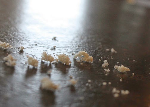 Crumbs Under the Table | Smile, God Loves You!