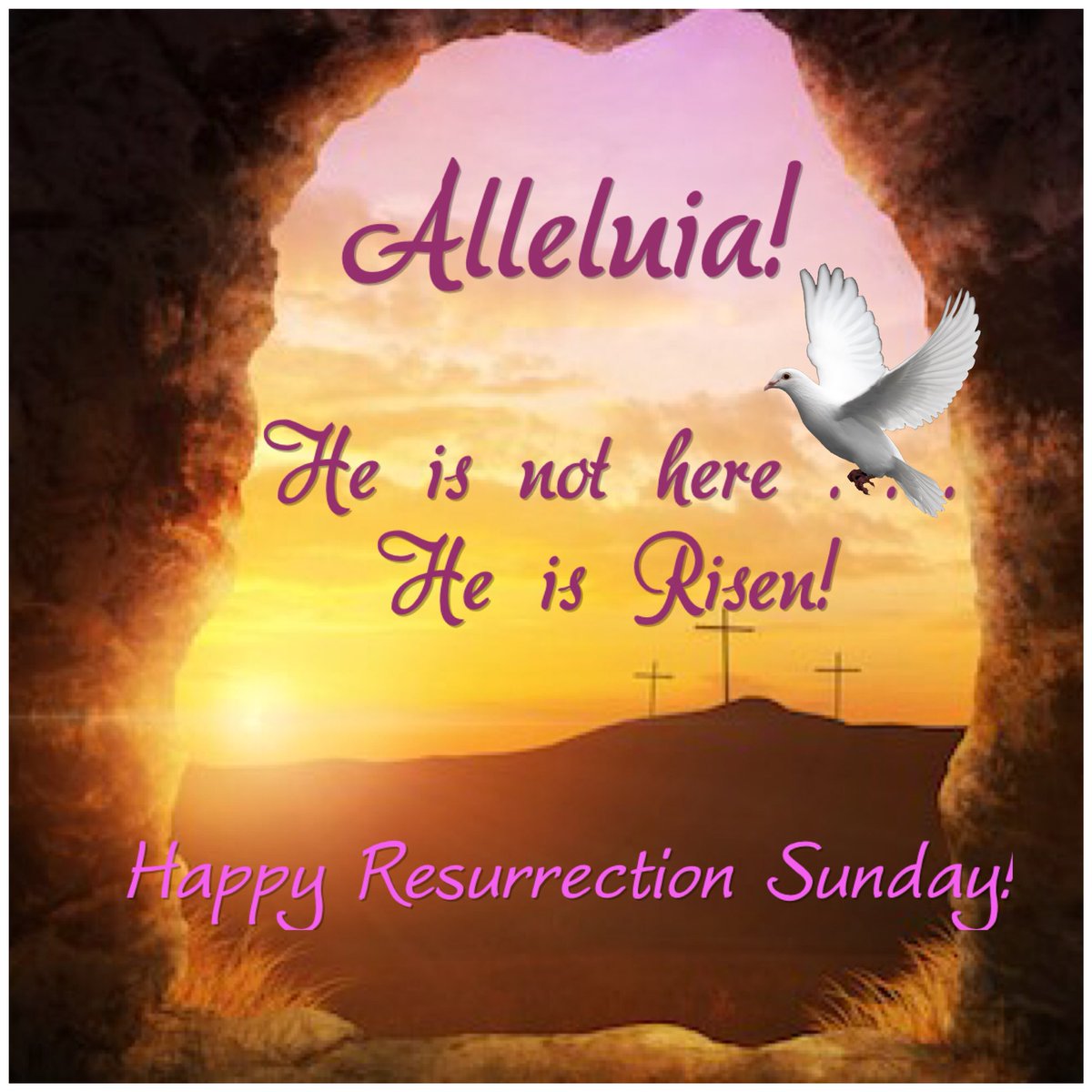 Let’s Celebrate Together! | Smile, God Loves You!