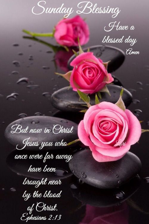 Take My Sins! | Smile, God Loves You!