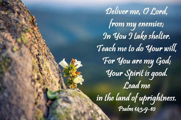 Coffee and Jesus | Smile, God Loves You!